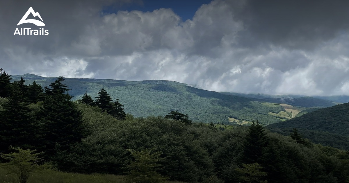 Whitetop Mountain - hikes and trails to get you there | AllTrails