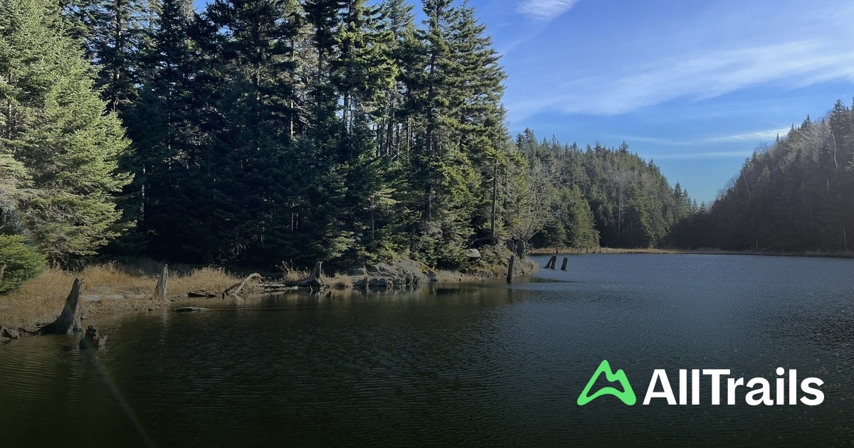 I 10 migliori sentieri vicino a Mud Pond | AllTrails