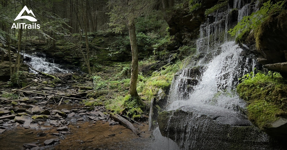 Rosecrans Falls - hikes and trails to get you there | AllTrails