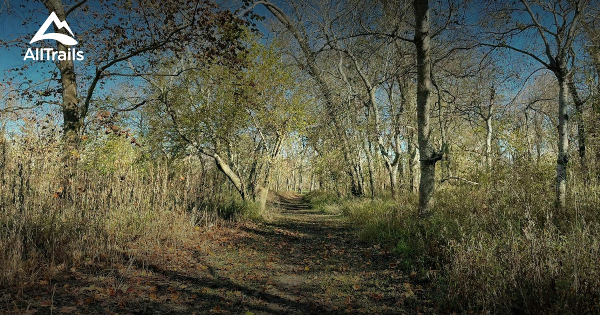 Madrid Falls - hikes and trails to get you there | AllTrails