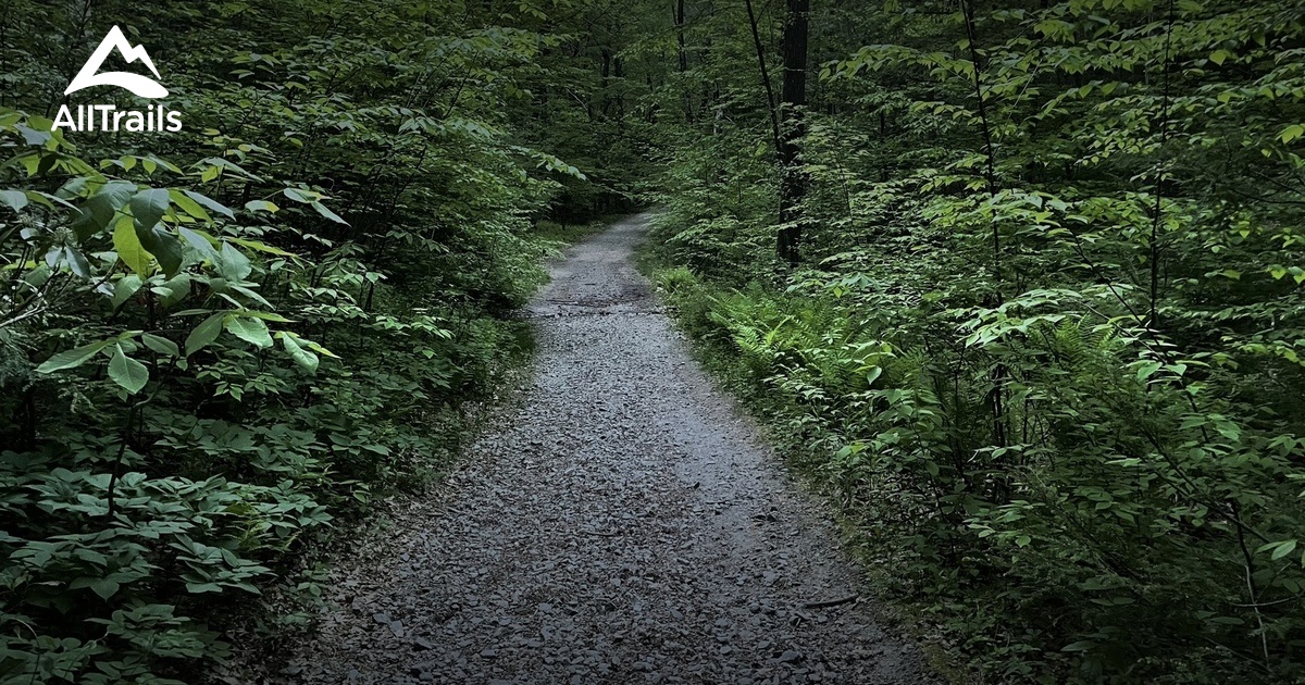 John Tom Hill - hikes and trails to get you there | AllTrails