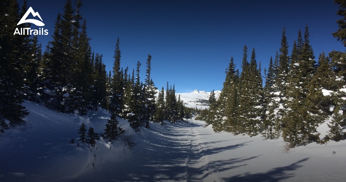 Niwot Mountain - hikes and trails to get you there | AllTrails