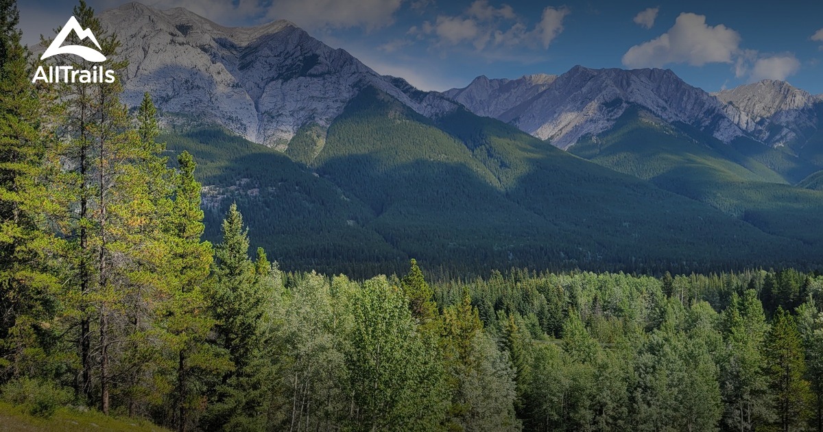 Troll Falls - hikes and trails to get you there | AllTrails