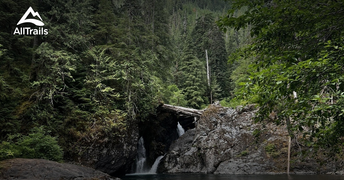 Wynoochee Falls - hikes and trails to get you there | AllTrails