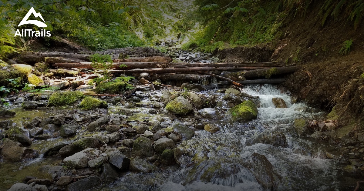 Angel Falls - hikes and trails to get you there | AllTrails