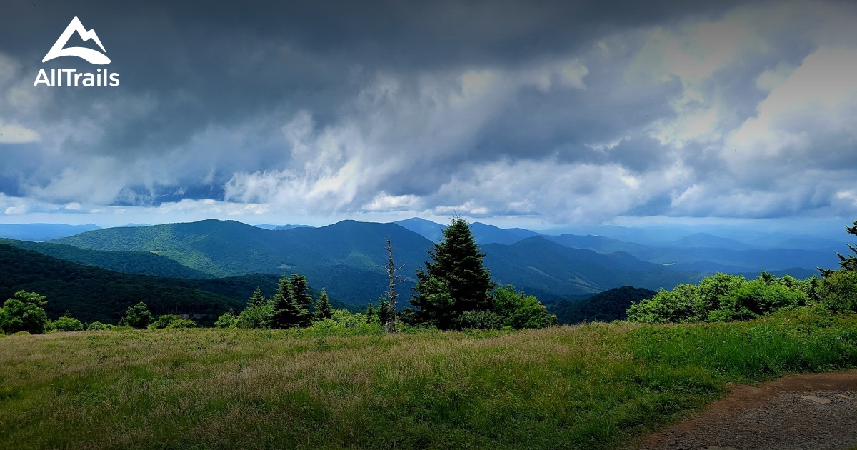 Jane Bald - hikes and trails to get you there | AllTrails
