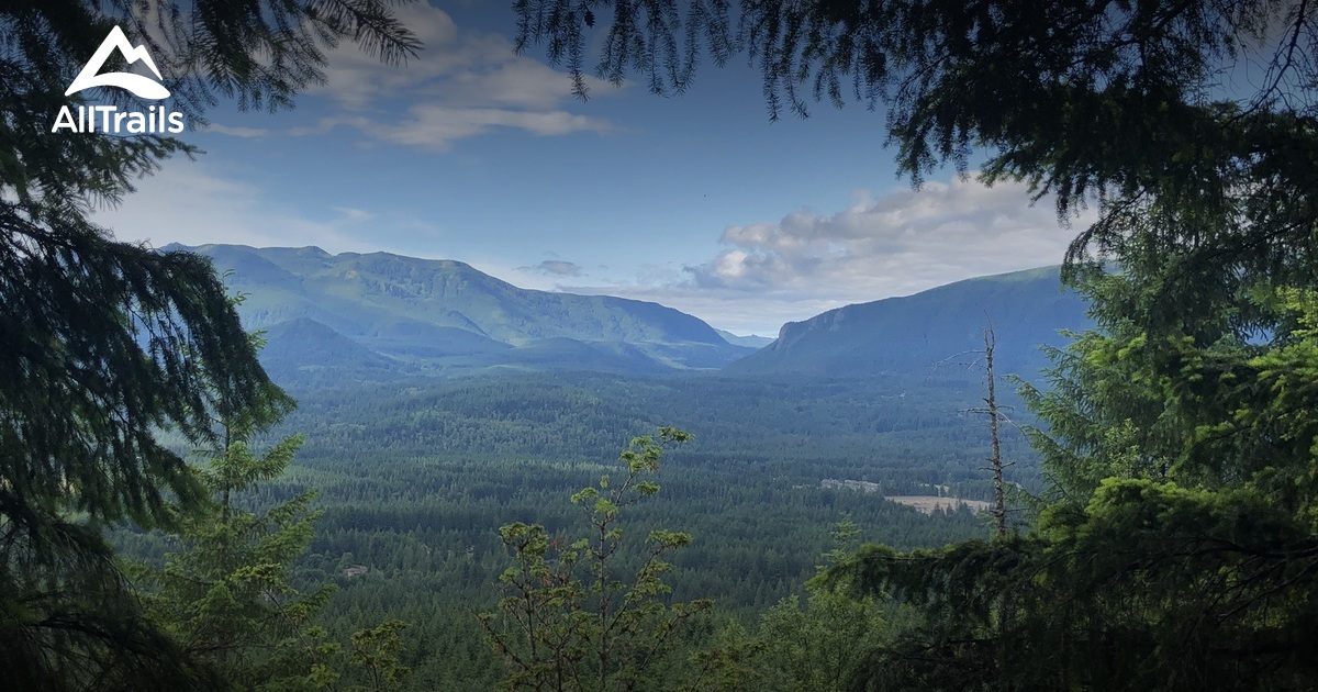 Mount Teneriffe - hikes and trails to get you there | AllTrails