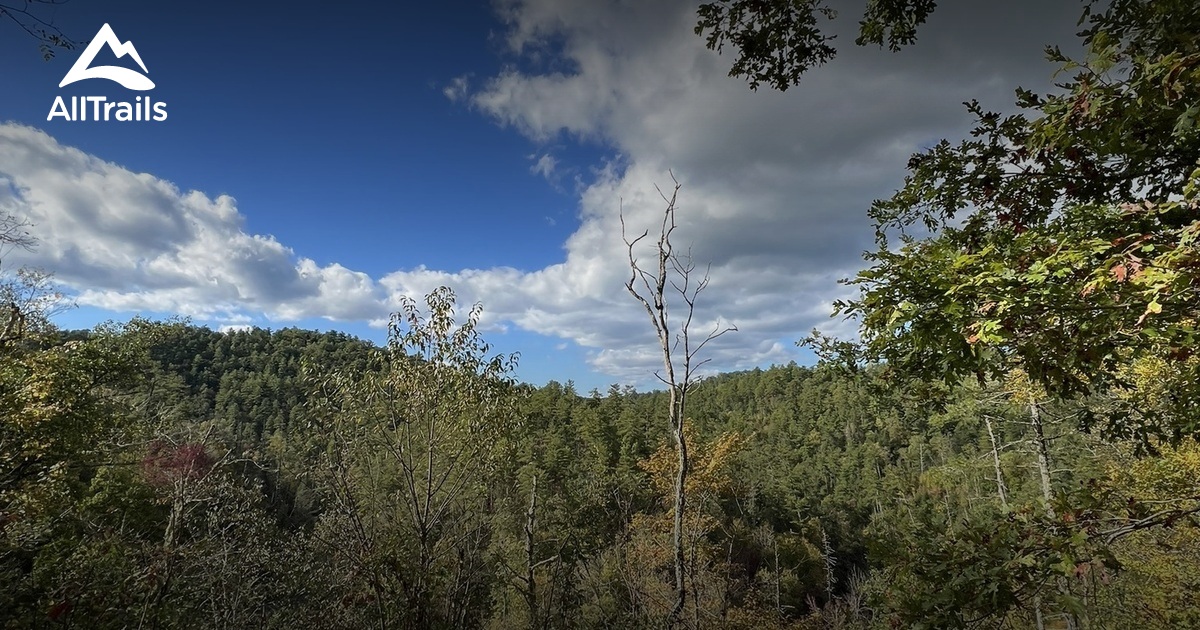 Abrams Falls - hikes and trails to get you there | AllTrails