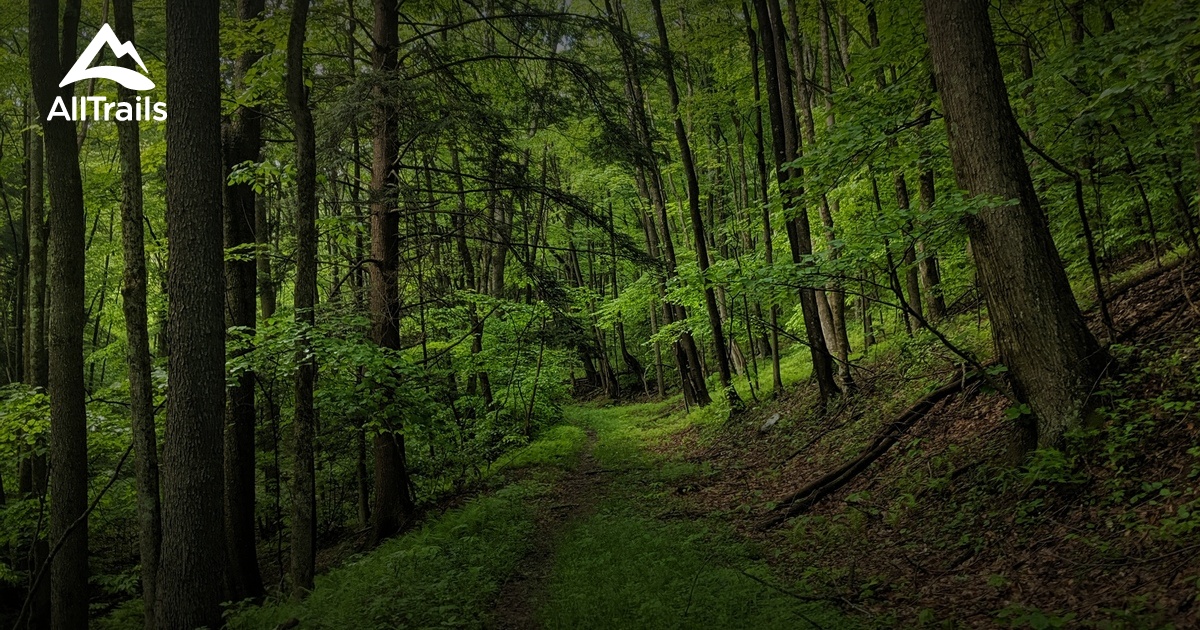 Mount Porte Crayon - hikes and trails to get you there | AllTrails