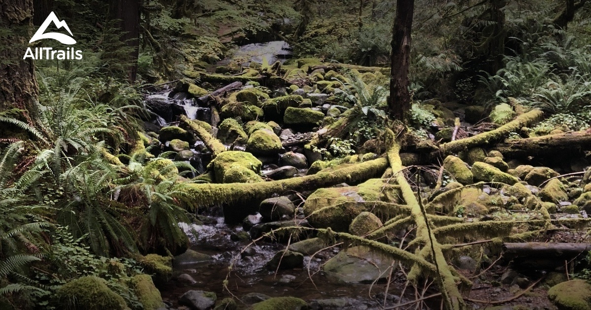 Black Hole Falls - hikes and trails to get you there | AllTrails
