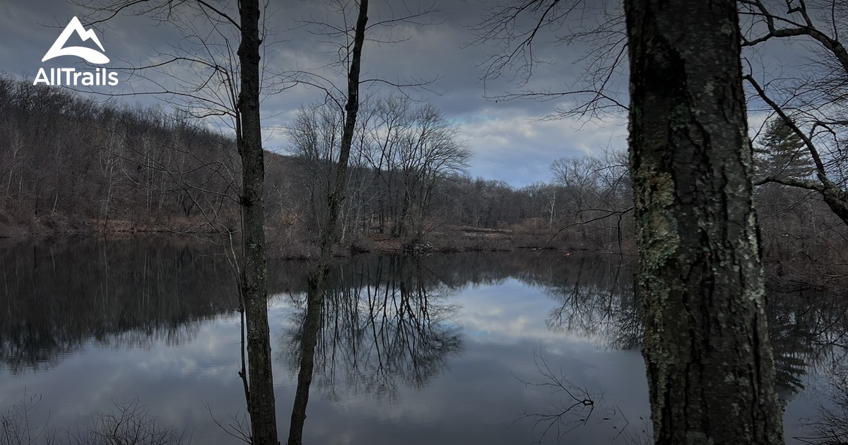 Illinois Mountain - hikes and trails to get you there | AllTrails