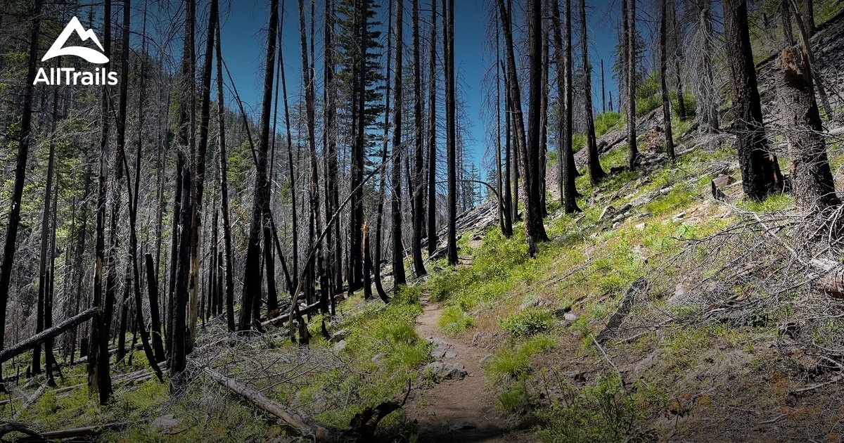 North Fork Union Creek Falls - hikes and trails to get you there ...