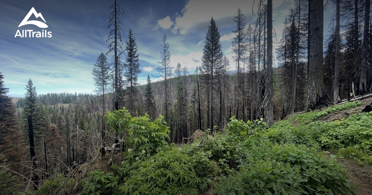 West Butte - hikes and trails to get you there | AllTrails