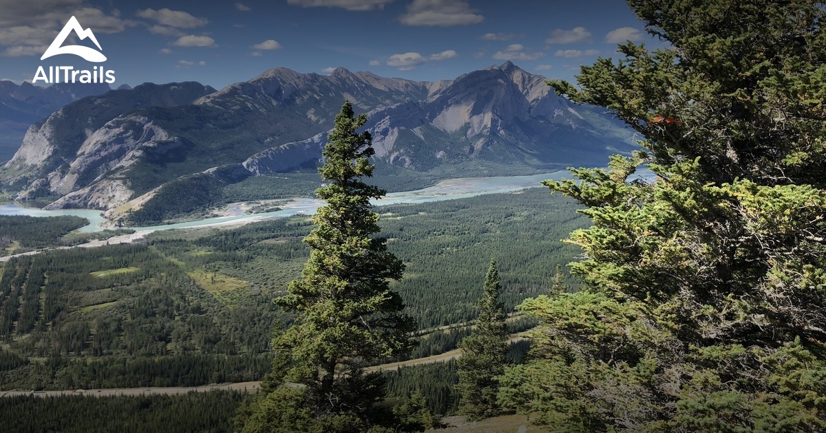 Fiddle Peak - hikes and trails to get you there | AllTrails