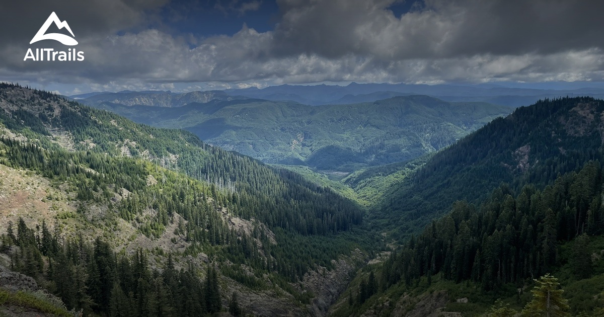 Windy Ridge - hikes and trails to get you there | AllTrails