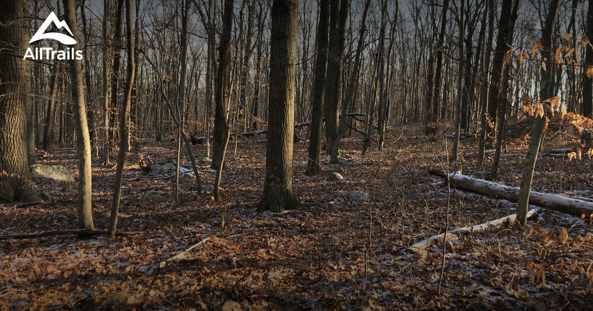 Fort Hill - hikes and trails to get you there | AllTrails