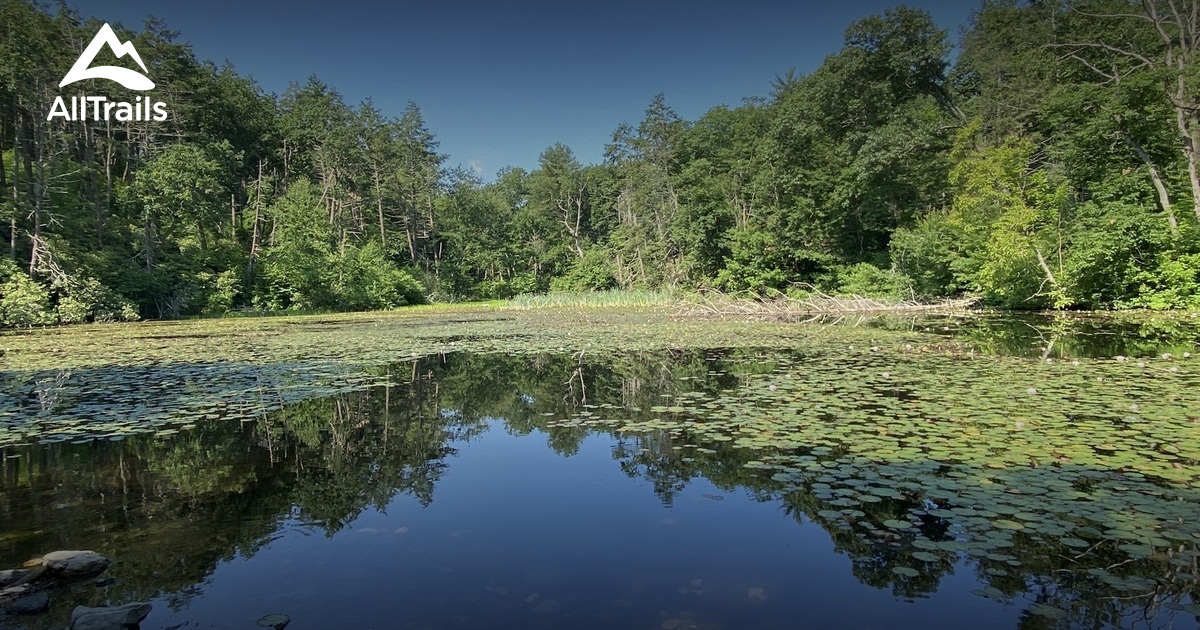 Kittatinny Mountain: Die besten Routen in der Umgebung | AllTrails