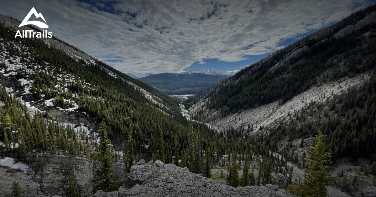 Falls Lookout Ridge - hikes and trails to get you there | AllTrails