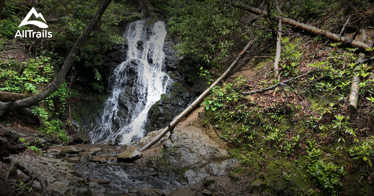 Cataract Falls - hikes and trails to get you there | AllTrails