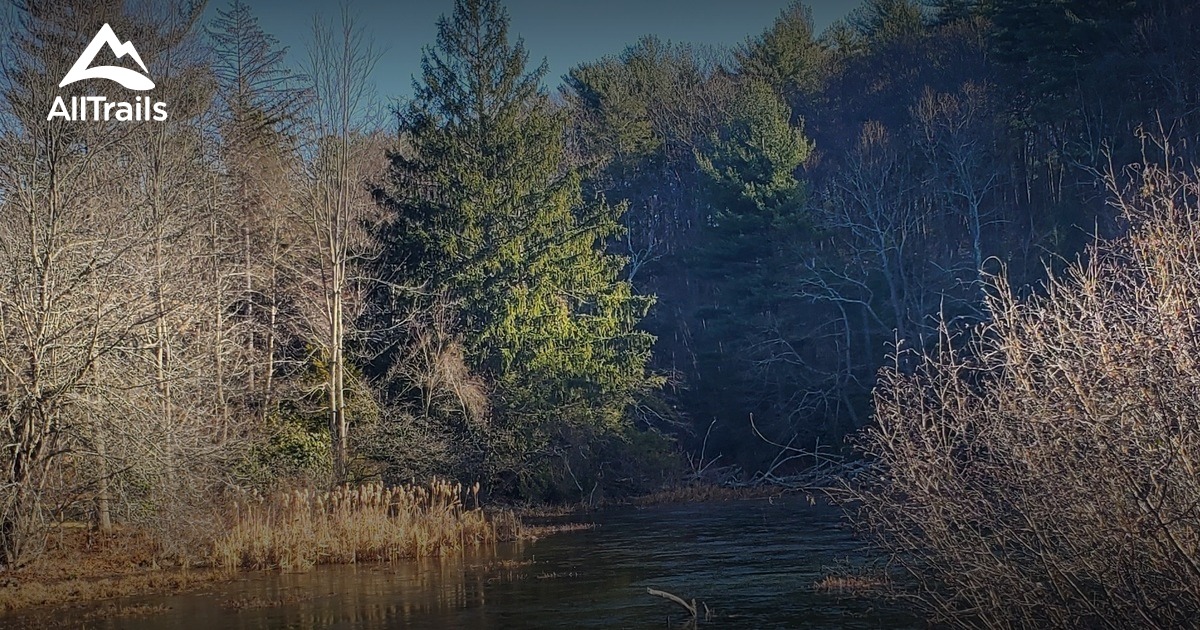 Case Mountain - hikes and trails to get you there | AllTrails