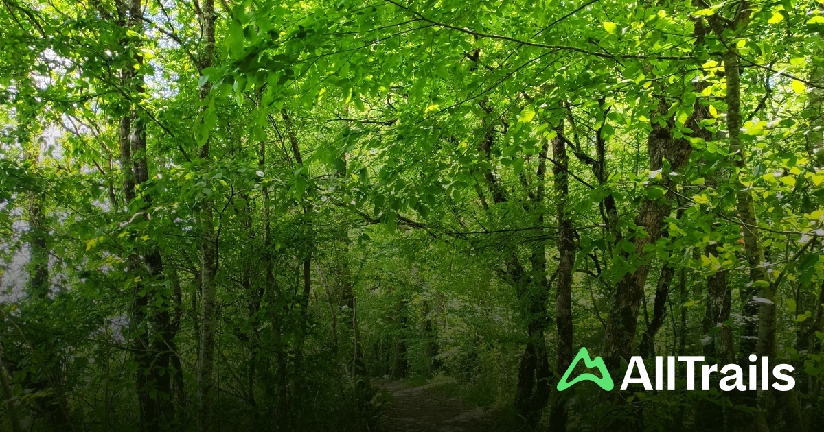 Font Morillon (Aqueduc de Saintes) : les meilleures randonnées | AllTrails