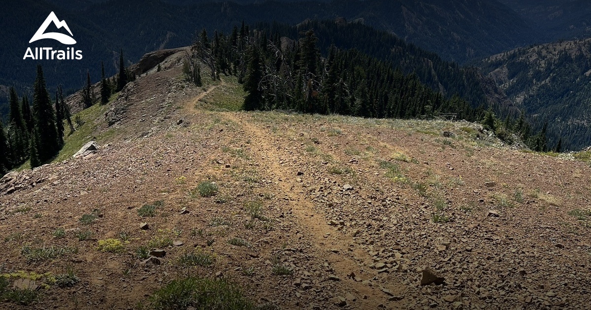 Jester Mountain - hikes and trails to get you there | AllTrails