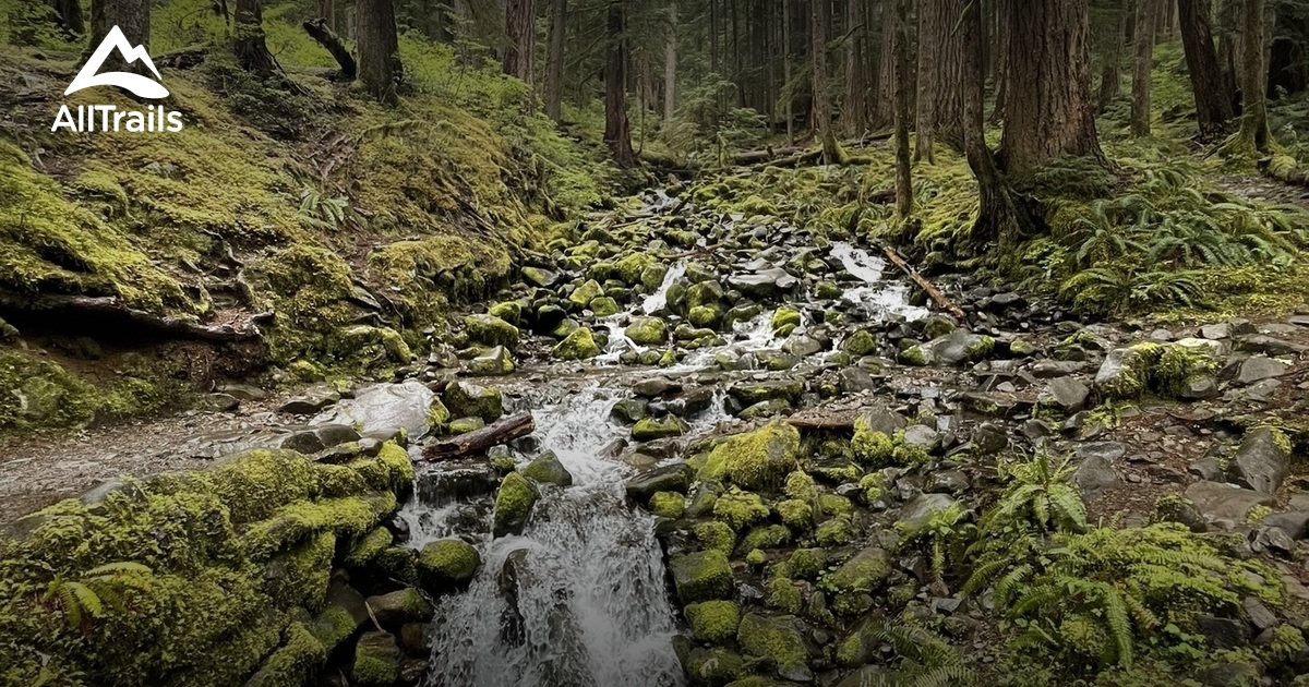 Sol Duc Falls - hikes and trails to get you there | AllTrails