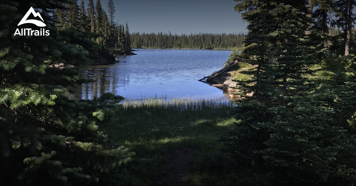 Tumac Mountain - hikes and trails to get you there | AllTrails