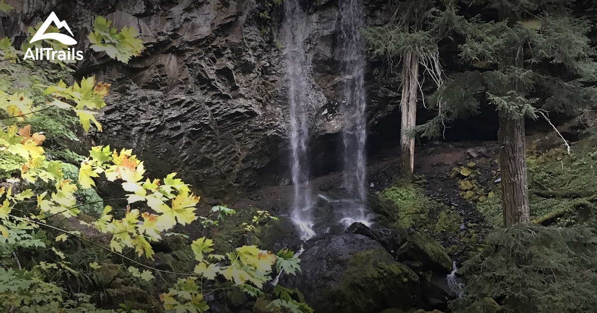 Grotto Falls - hikes and trails to get you there | AllTrails