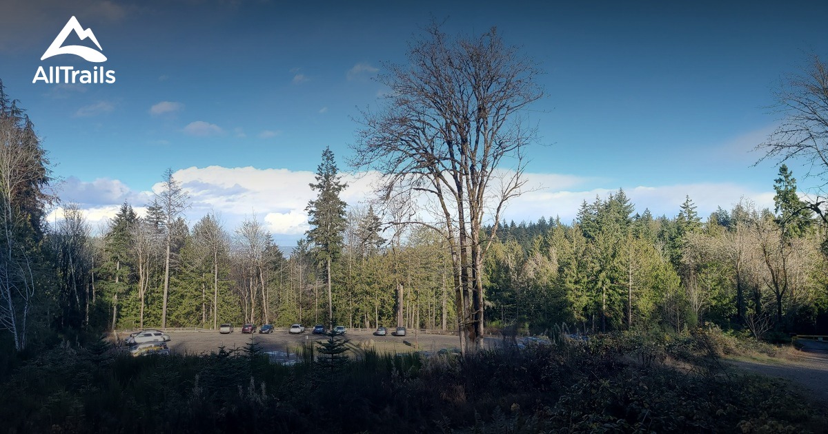 Dickerson Falls - hikes and trails to get you there | AllTrails