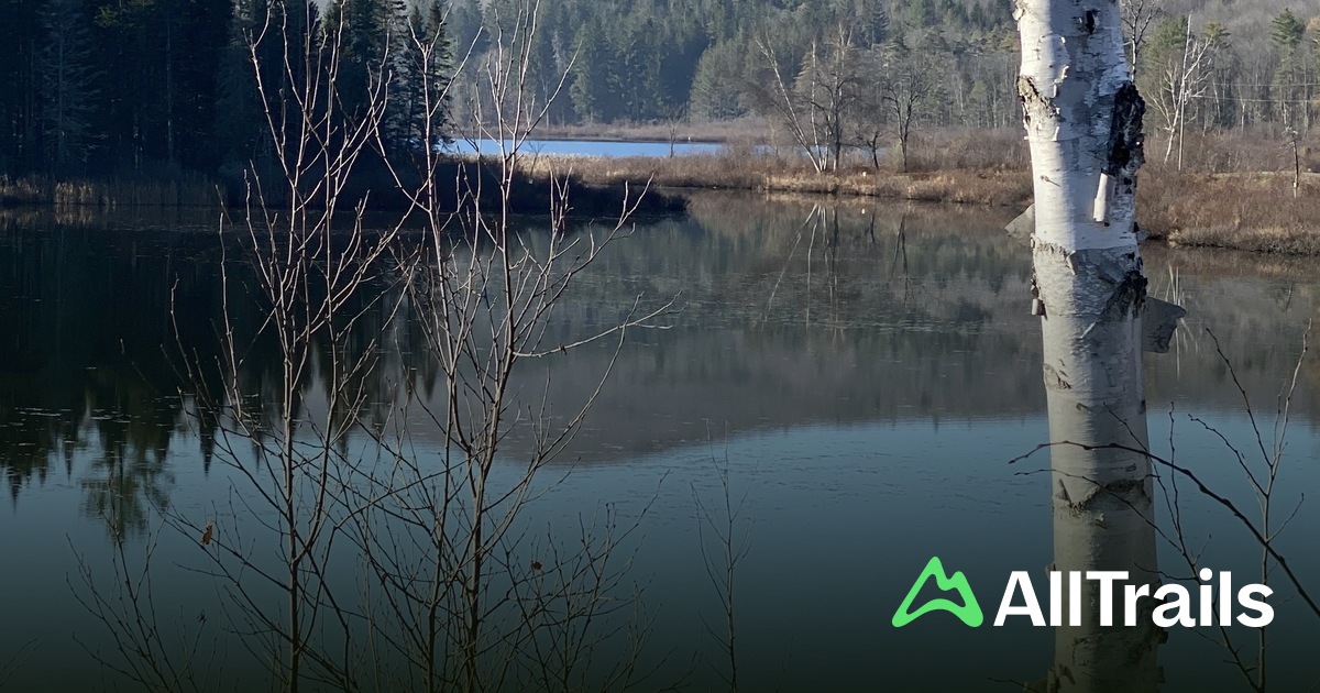 Berlin Pond - hikes and trails to get you there | AllTrails