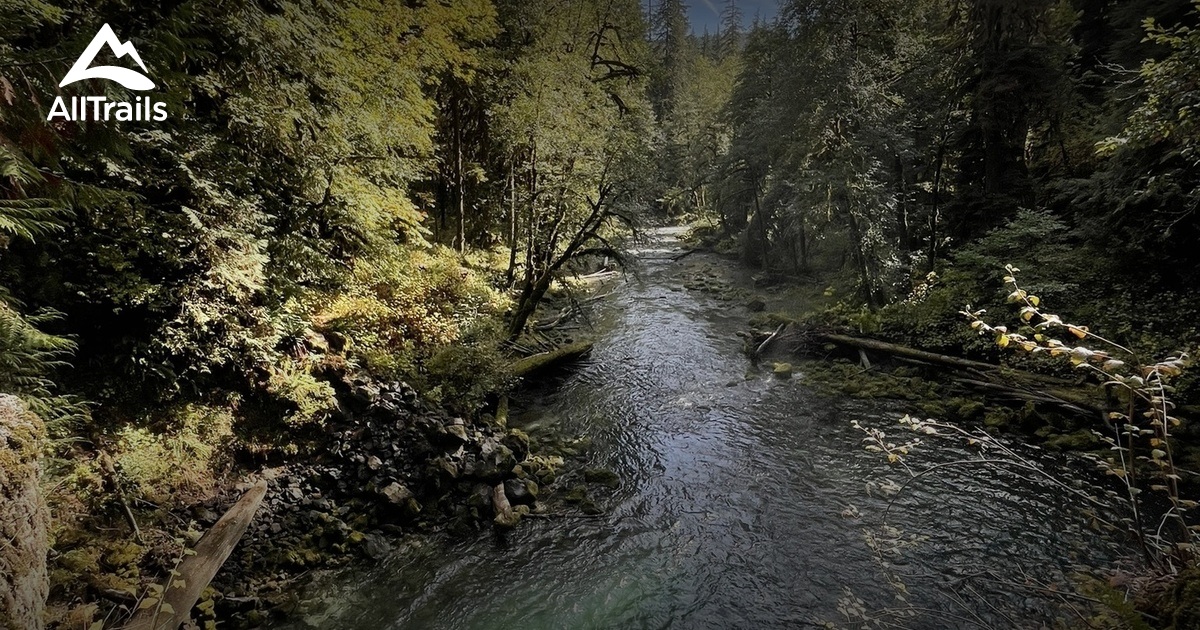 Kalama Falls - hikes and trails to get you there | AllTrails