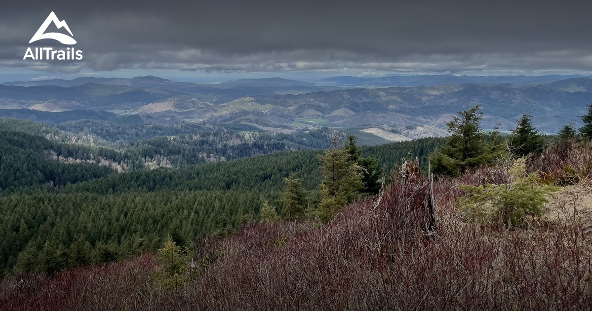 Mount Hebo - hikes and trails to get you there | AllTrails