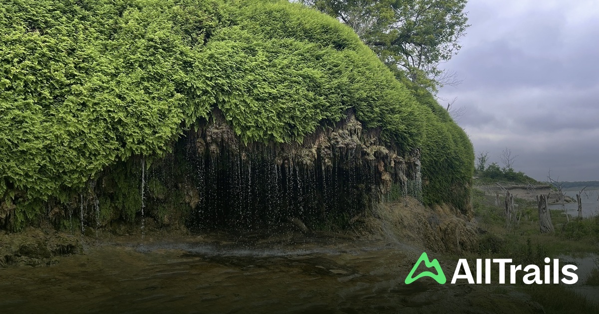 Lake Georgetown - hikes and trails to get you there | AllTrails