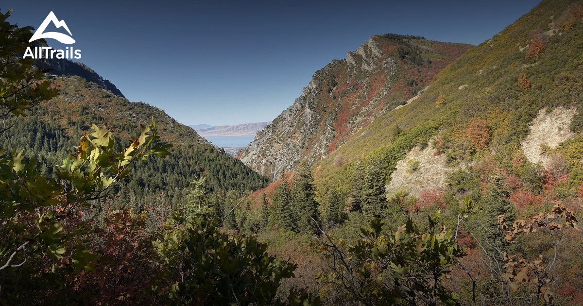 Shingle Mill Peak - hikes and trails to get you there | AllTrails