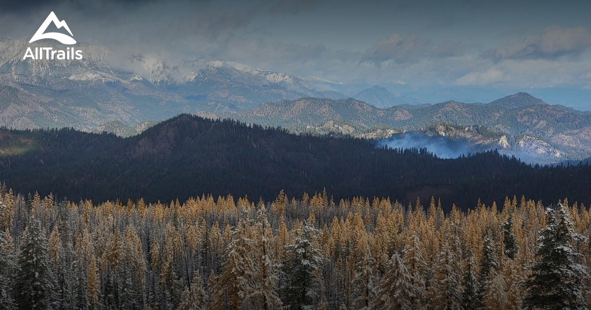 Diamond Head - hikes and trails to get you there | AllTrails