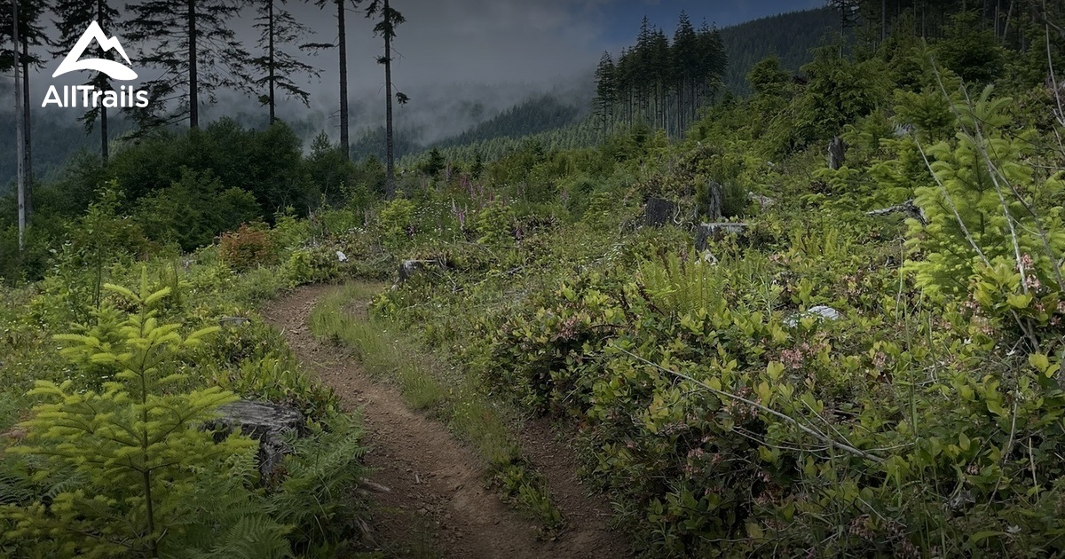 Capitol Peak - hikes and trails to get you there | AllTrails