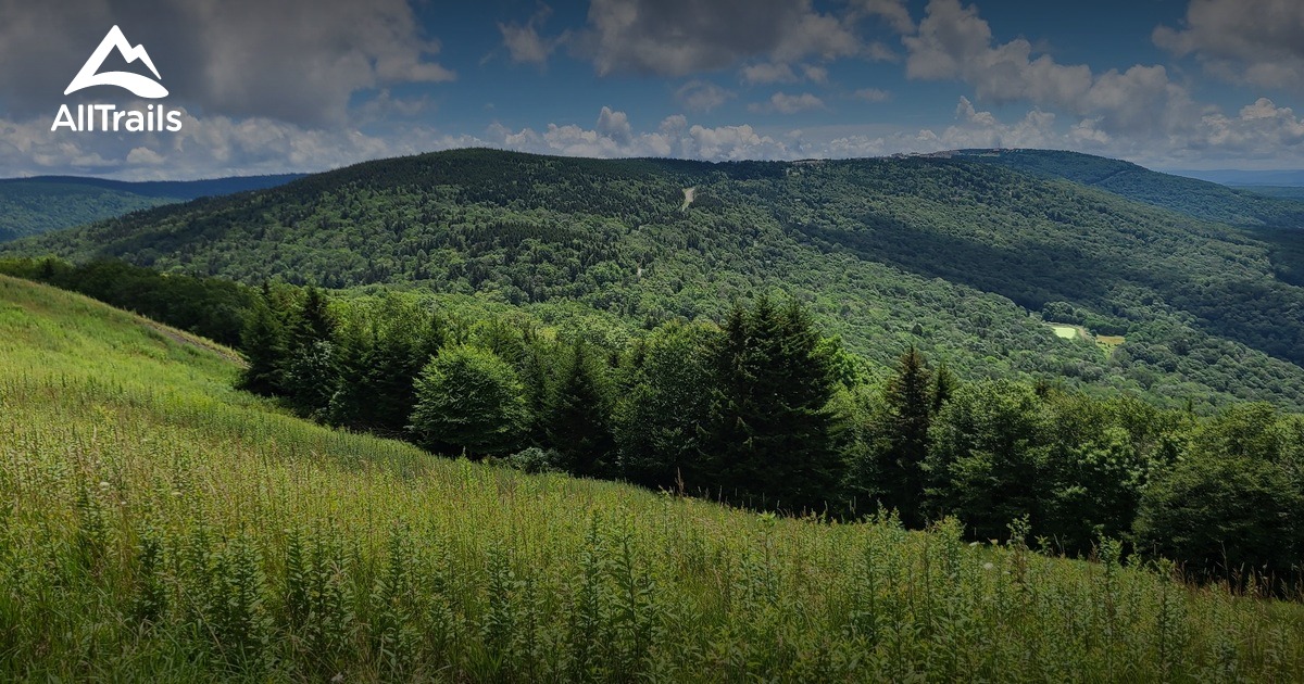 Cheat Mountain - hikes and trails to get you there | AllTrails