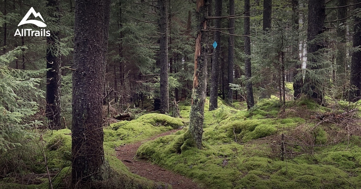 Red Spruce Knob - hikes and trails to get you there | AllTrails