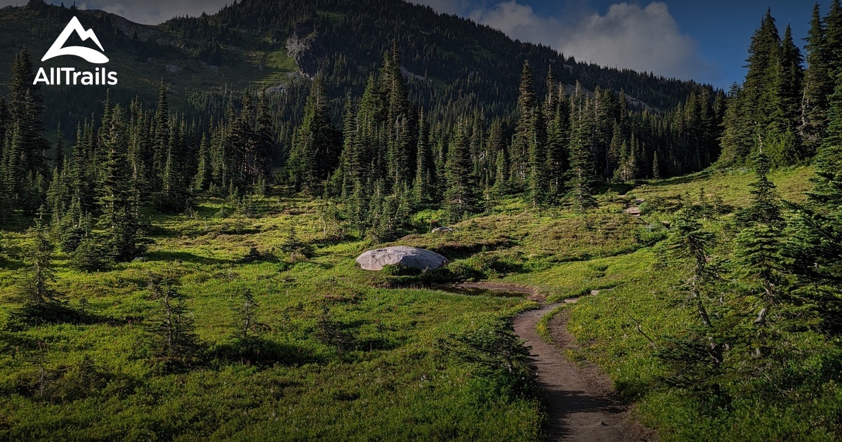 Spray Falls - hikes and trails to get you there | AllTrails
