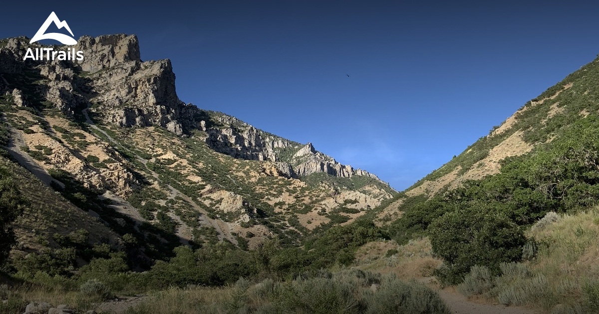 Toad Head - hikes and trails to get you there | AllTrails