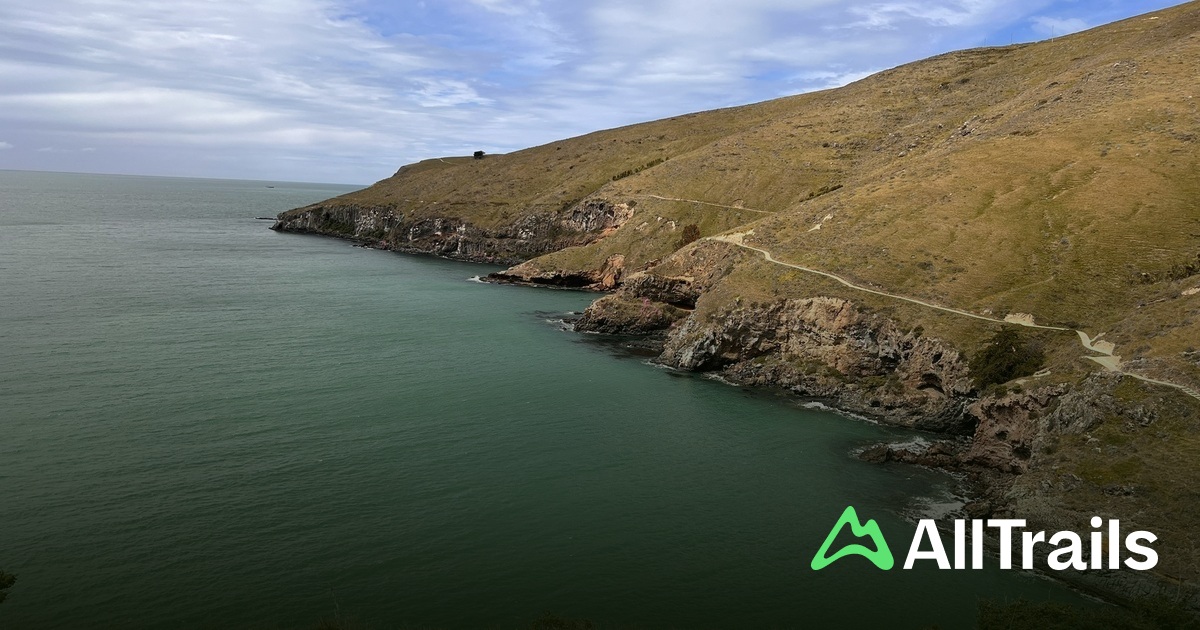 Pegasus Bay - hikes and trails to get you there | AllTrails