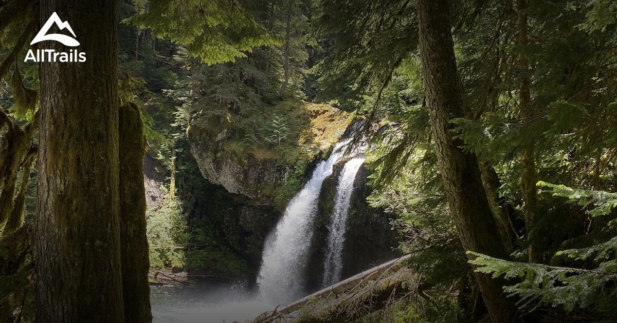 Iron Creek Falls - hikes and trails to get you there | AllTrails