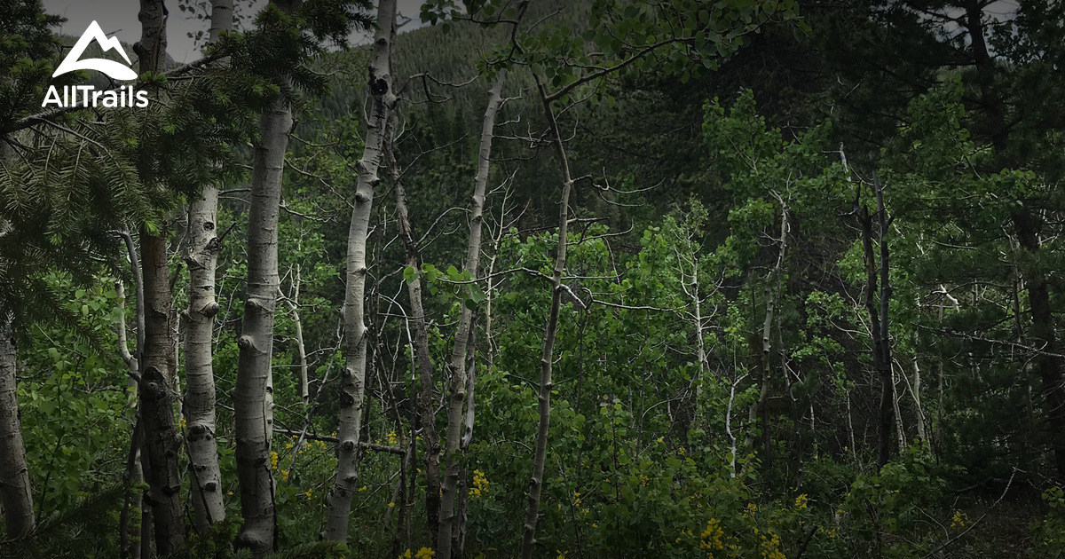 Lion Head - hikes and trails to get you there | AllTrails