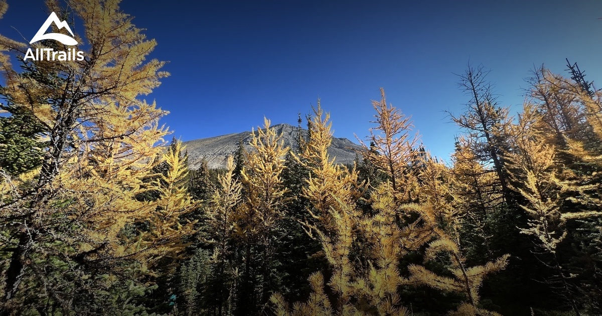 Skoki Mountain - hikes and trails to get you there | AllTrails