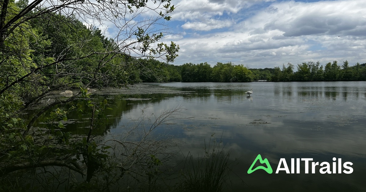 Haledon Reservoir - hikes and trails to get you there | AllTrails