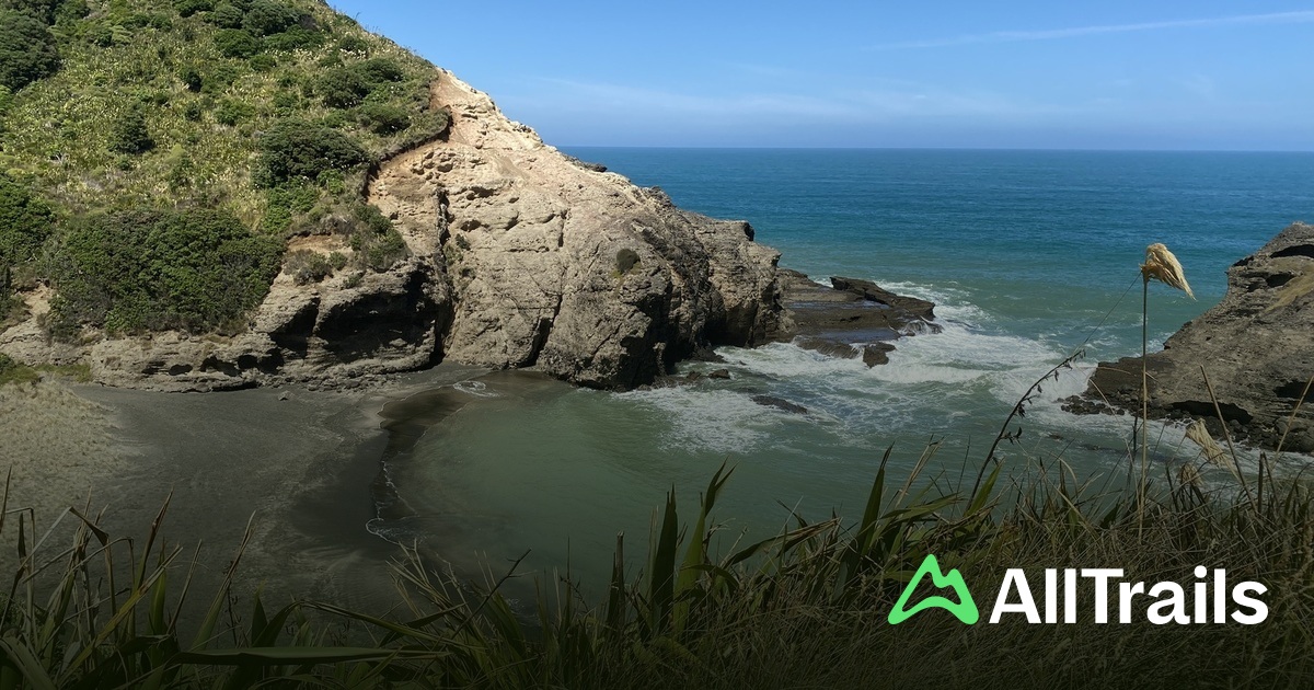 South Piha Beach - hikes and trails to get you there | AllTrails