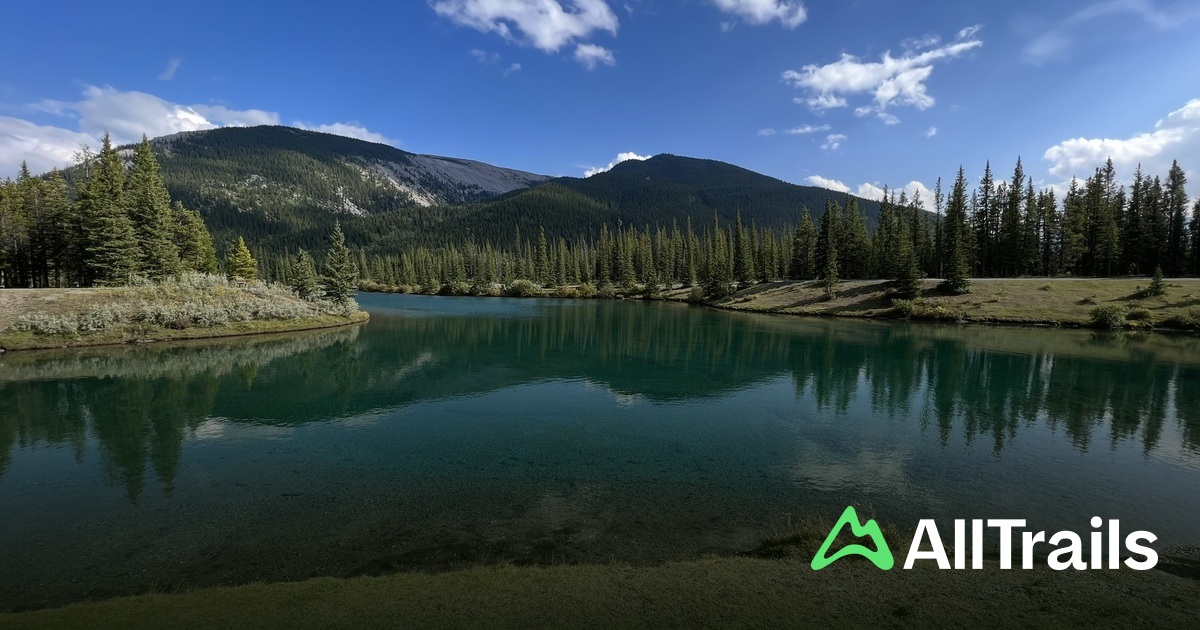 Forgetmenot Pond - hikes and trails to get you there | AllTrails
