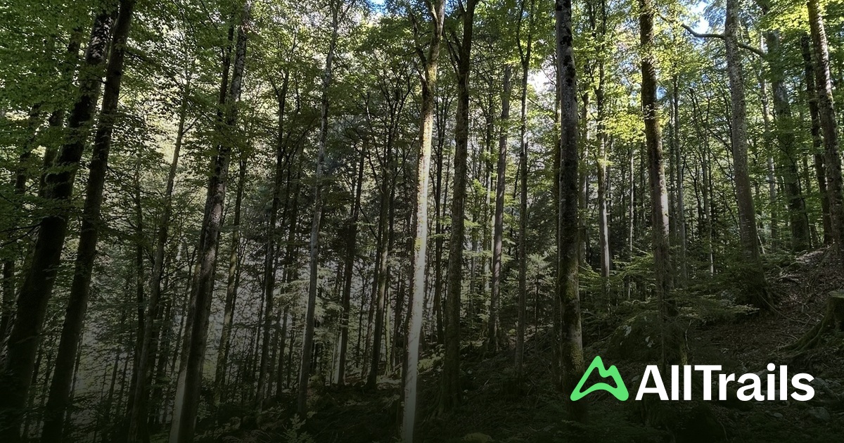 Best trails near La Dranse de Morzine | AllTrails