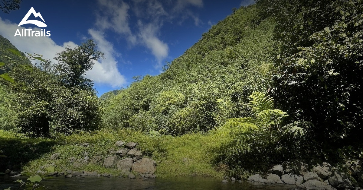 Tapatea - hikes and trails to get you there | AllTrails
